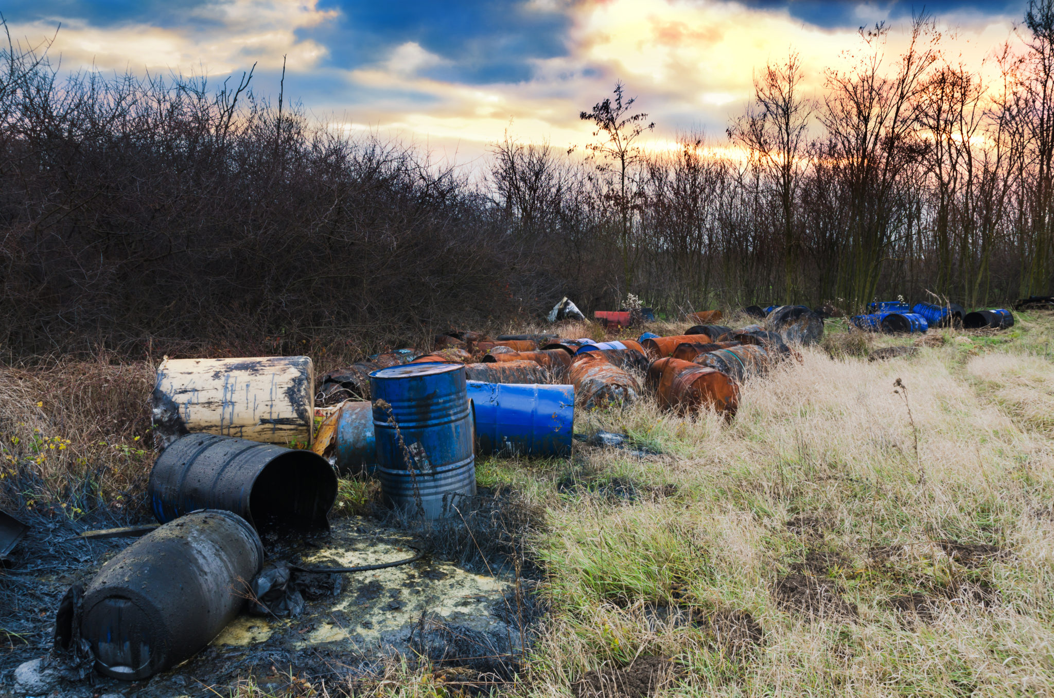 TCEQ Environmental Programs - CRG Texas Environmental Services
