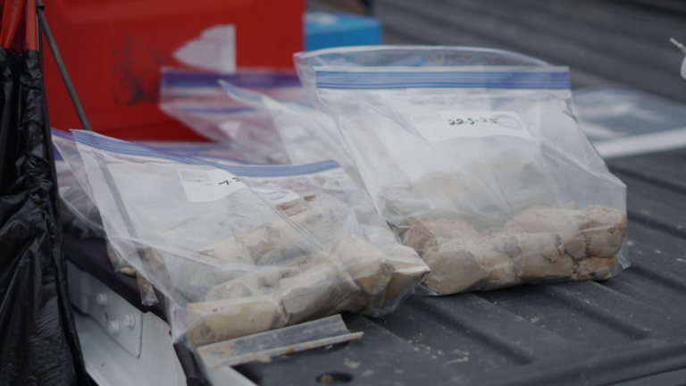 The Crucial Importance of Phase 2 ESA Reports Exposed!