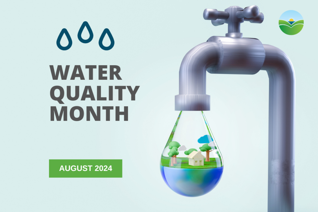 Celebrate Water Quality Month: Easy Ways to Make a Difference - CRG ...