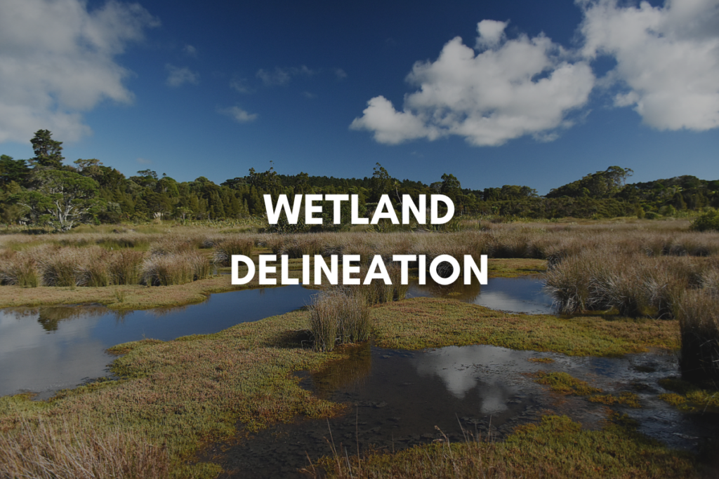 Do You Need Wetland Delineation? Know This Before You Build! - CRG Texas Environmental Services